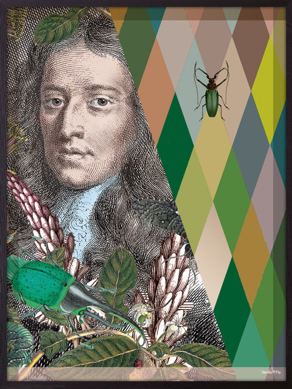 Plakat - Lord bettle #PSC228 – VanillaFly